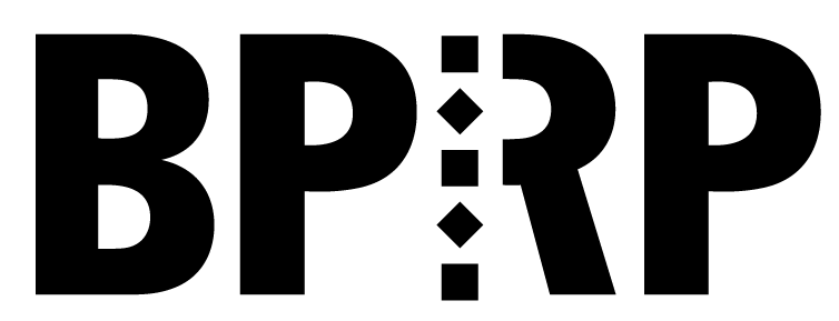 BPRP Consulting | A Management Consulting and Technology Service ...